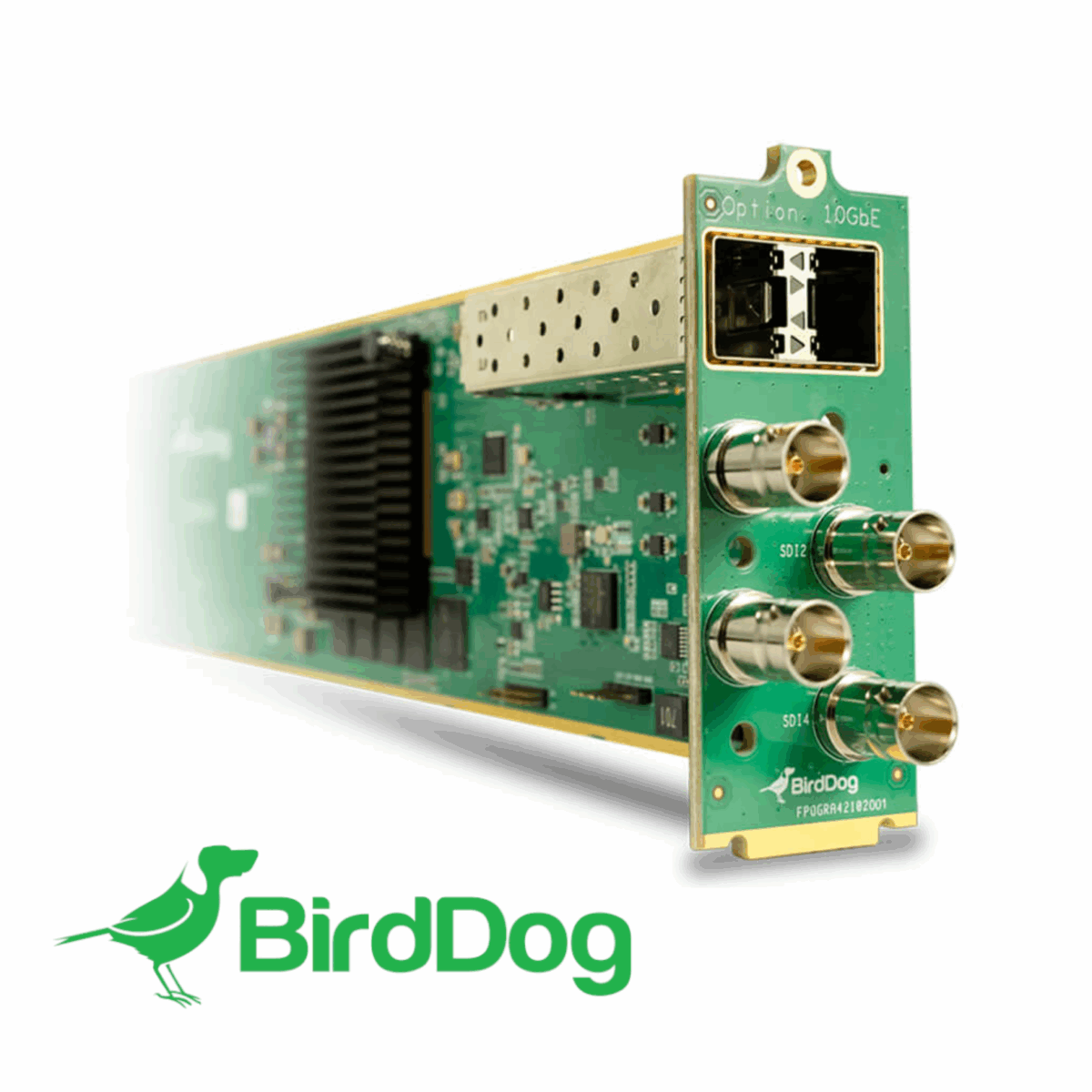 BirdDog NDI OpenGear Card